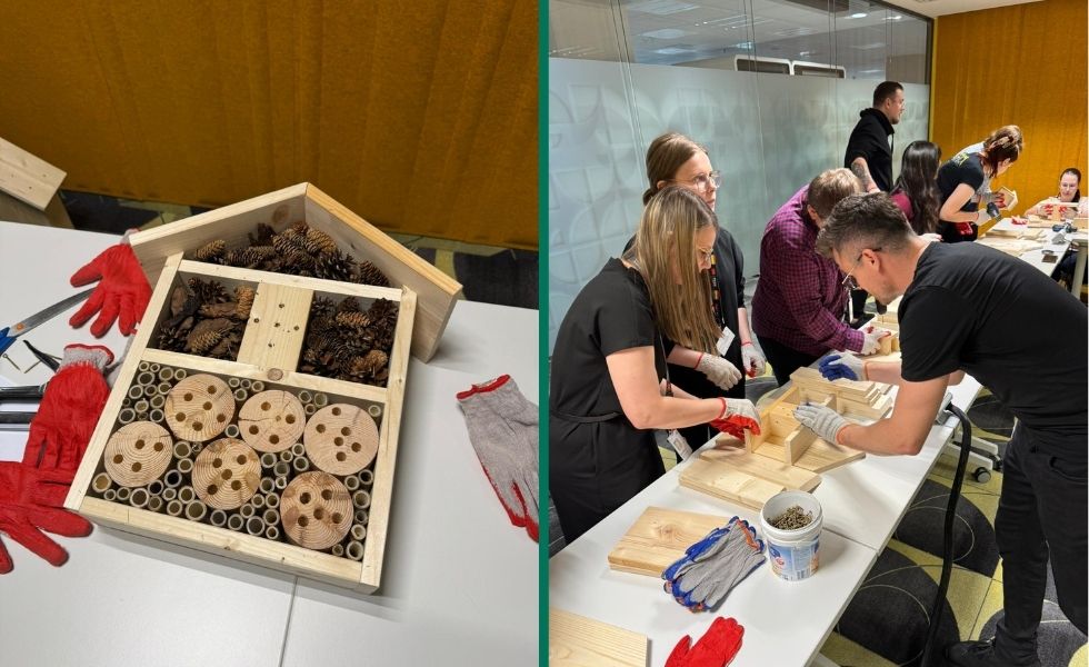 Taller de construcción de casas para insectos en Wrocław – 22 de ...