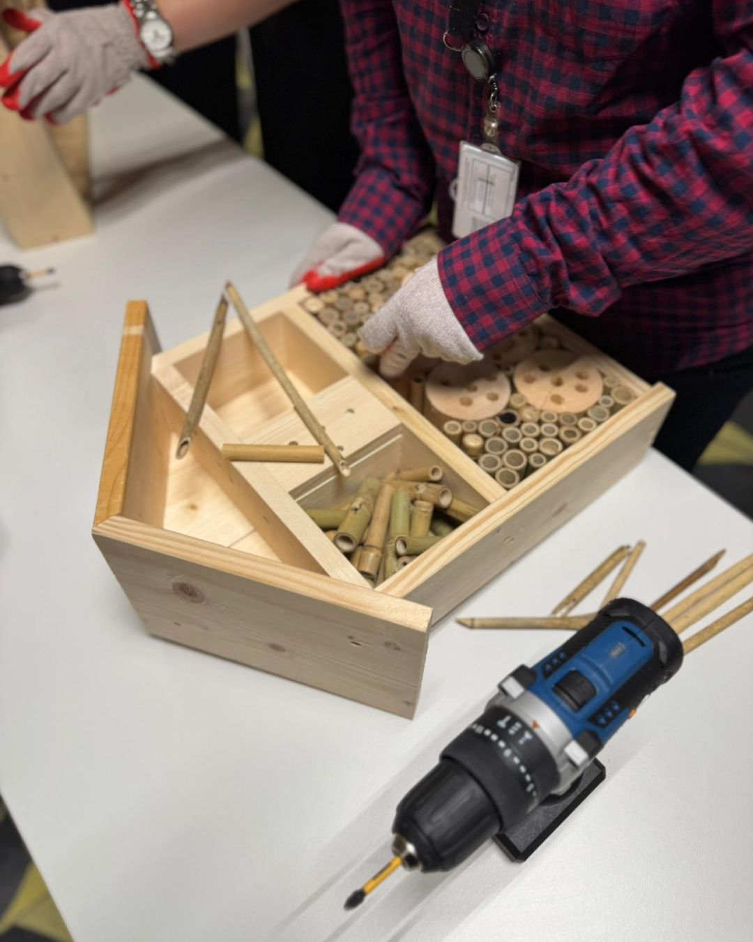 Taller de construcción de casas para insectos en Wrocław – 22 de ...