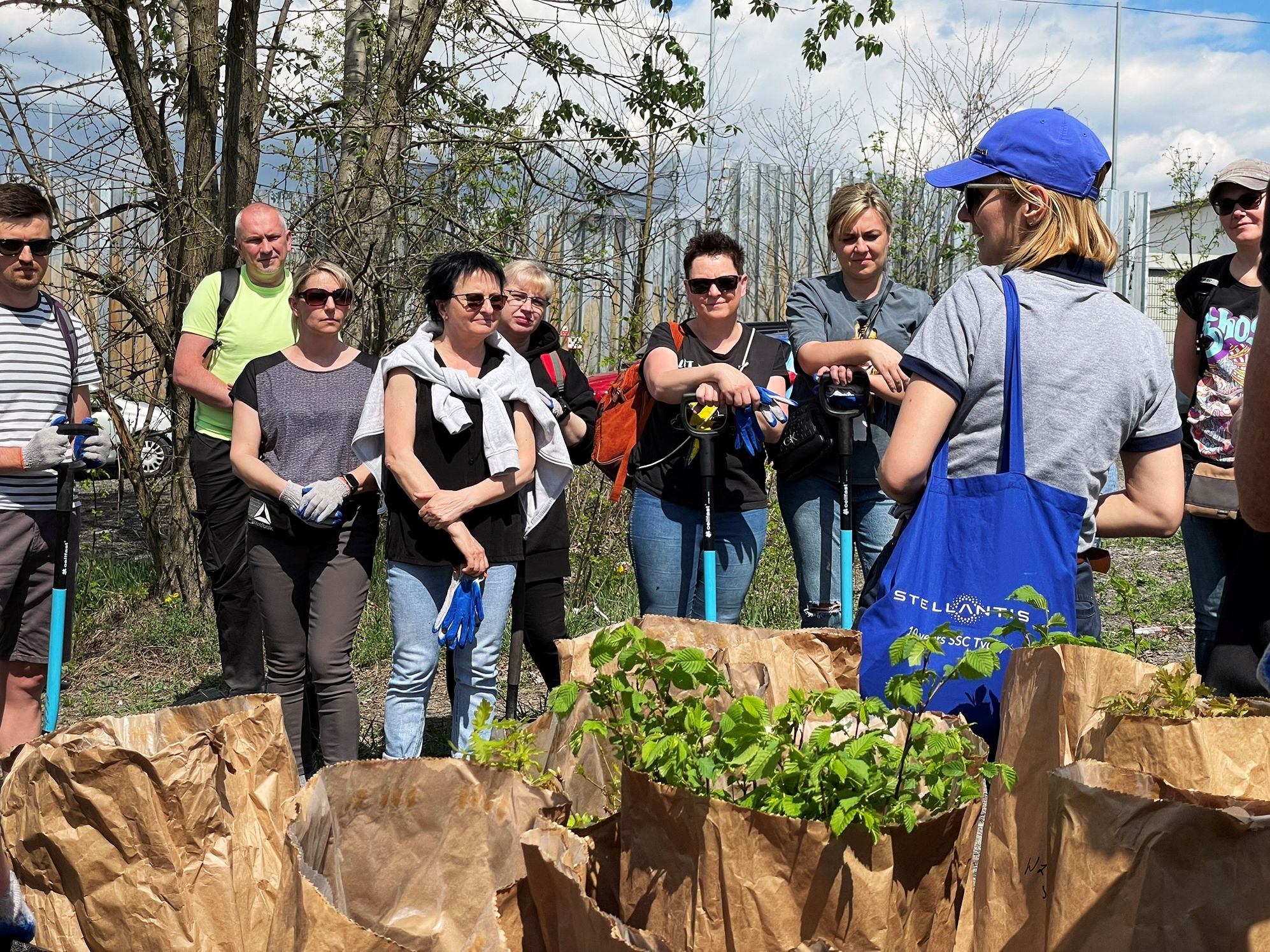 Sadzenie ponad 600 drzew i warsztaty ekologiczne w Wojkowicach ze ...