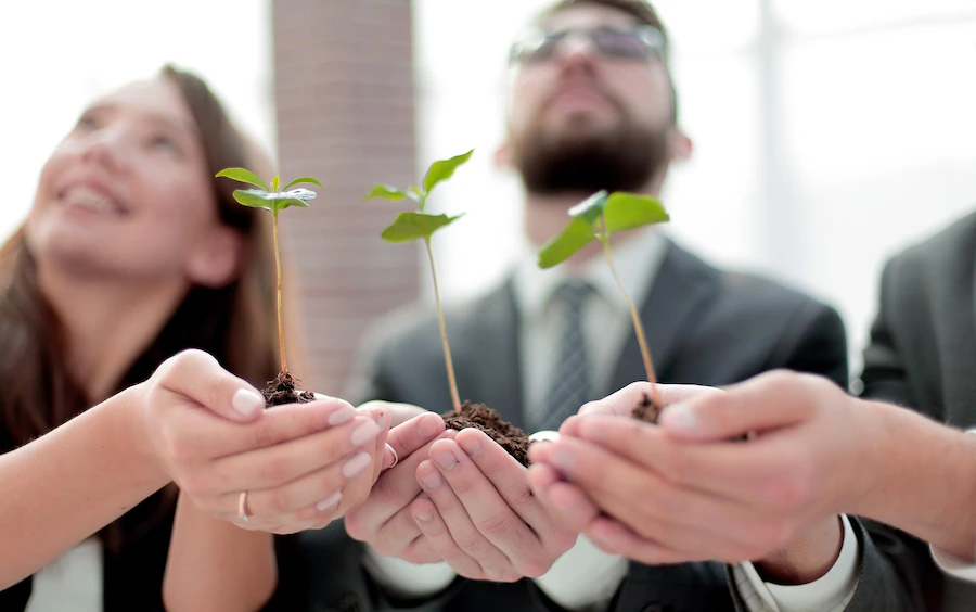 Creating a Green Culture: How to Foster Environmental Awareness Among ...