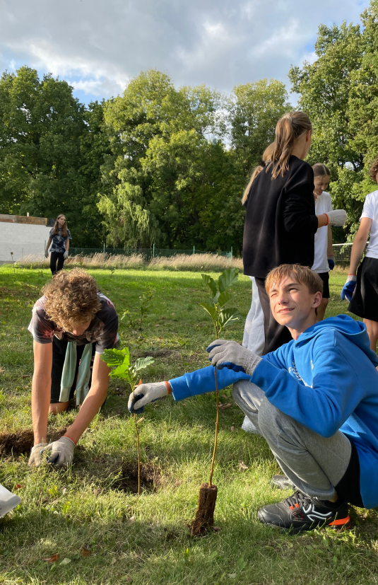 What Sets Us Apart? - One More Tree Foundation