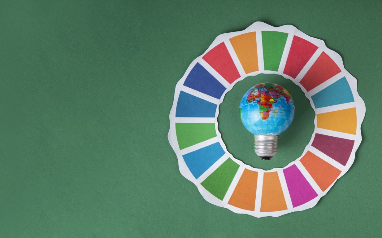 What are the Sustainable Development Goals? - One More Tree Foundation