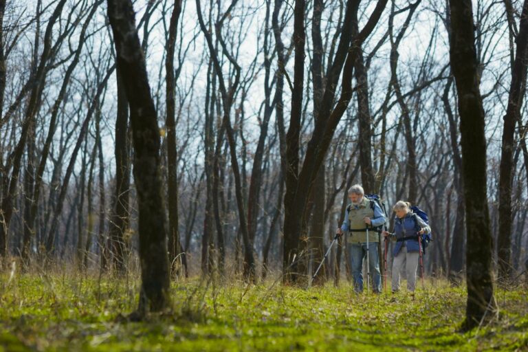 The Health Benefits of Trees and Forests - One More Tree Foundation
