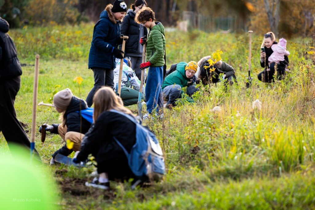 6 Key Ways to Protect Biodiversity That Anyone Can Implement - One More ...