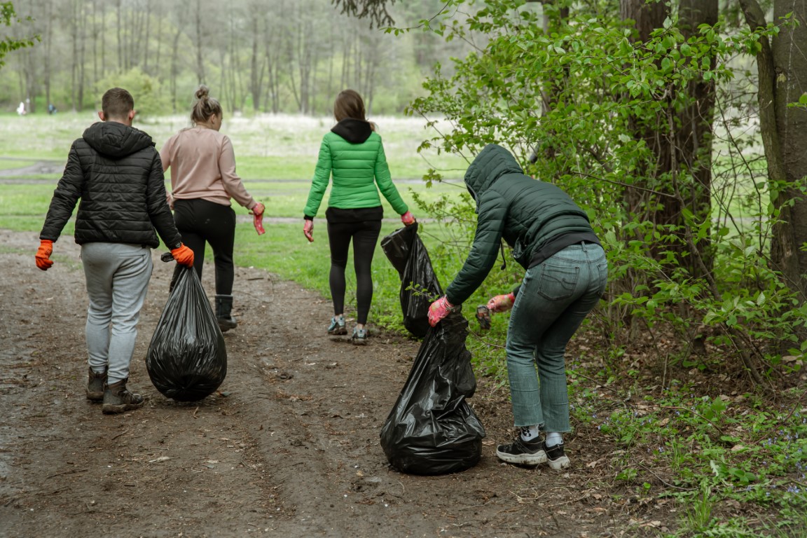 Why is litter in forests a serious problem for the environment? - One ...