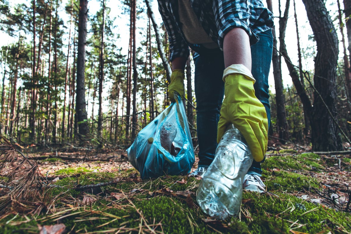 Why is litter in forests a serious problem for the environment? - One ...
