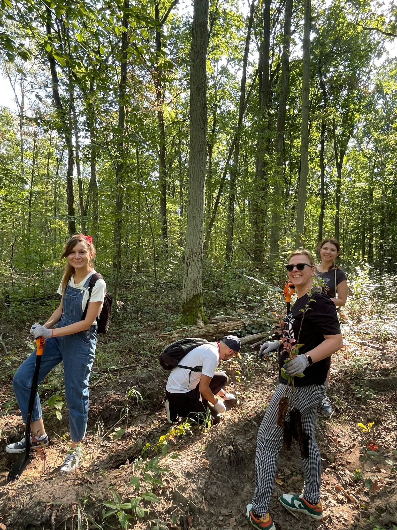 MetLife x One More Tree - One More Tree Foundation