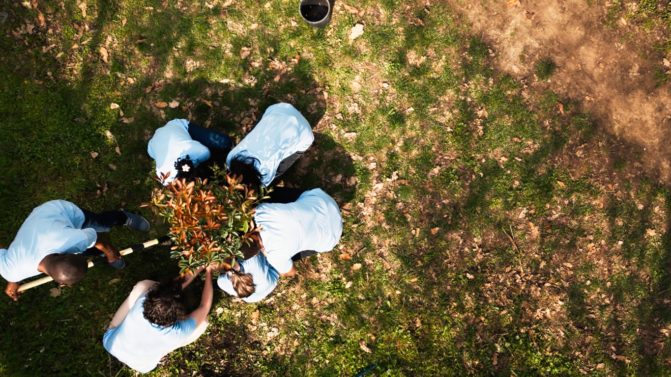 Ecological Restoration: How to Bring Life Back to Degraded Land - One ...