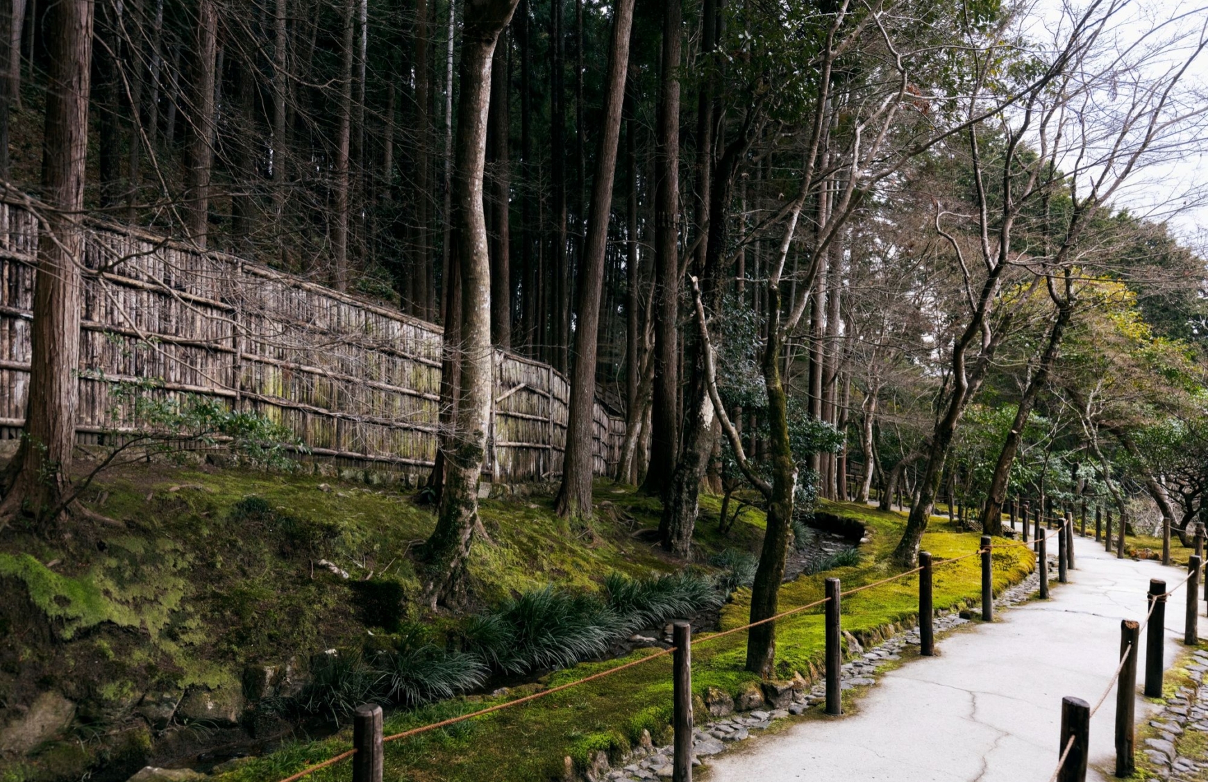 Green corridors – living connections that bind the landscape together ...