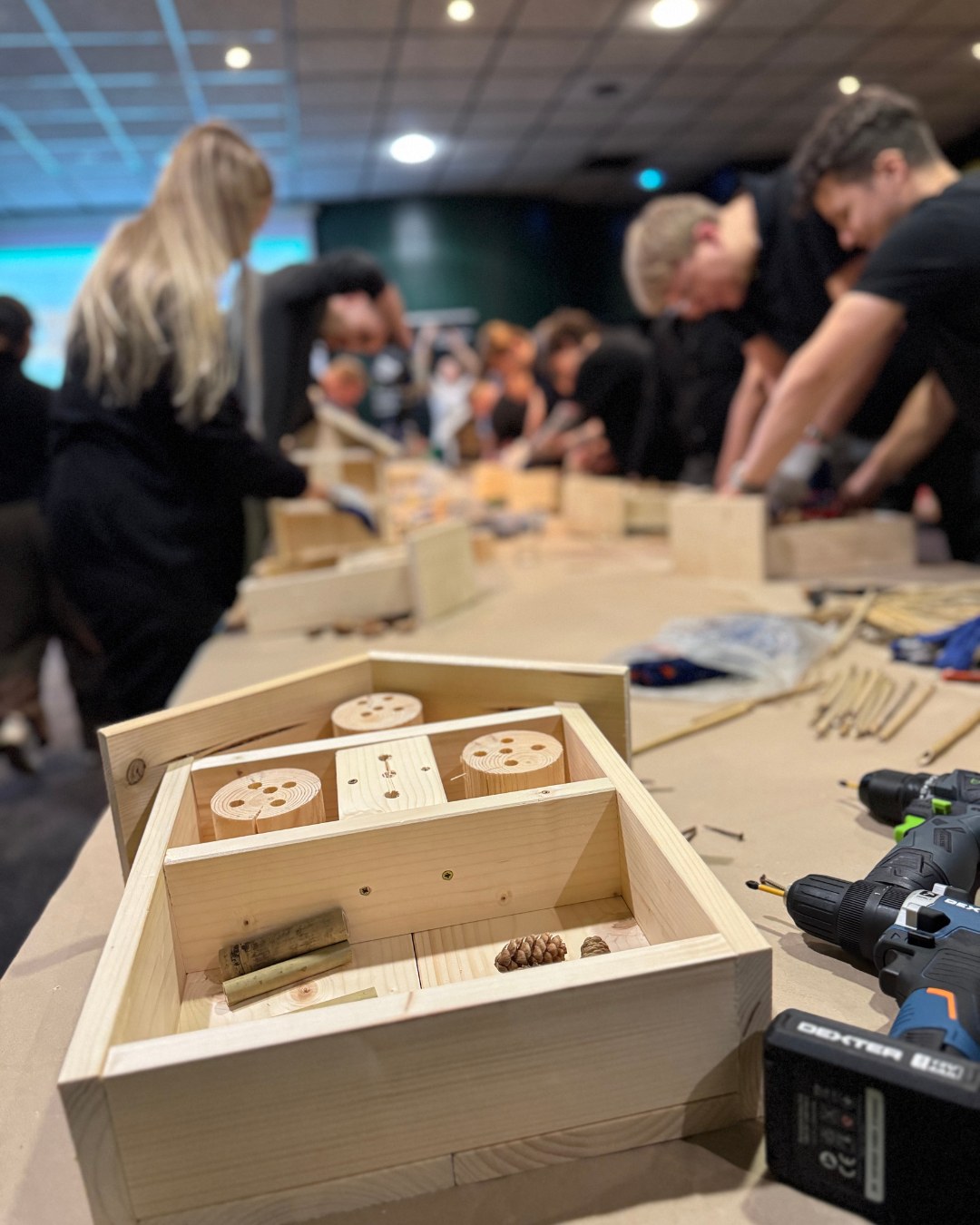 ESMETRIC Group x One More Tree - One More Tree Foundation