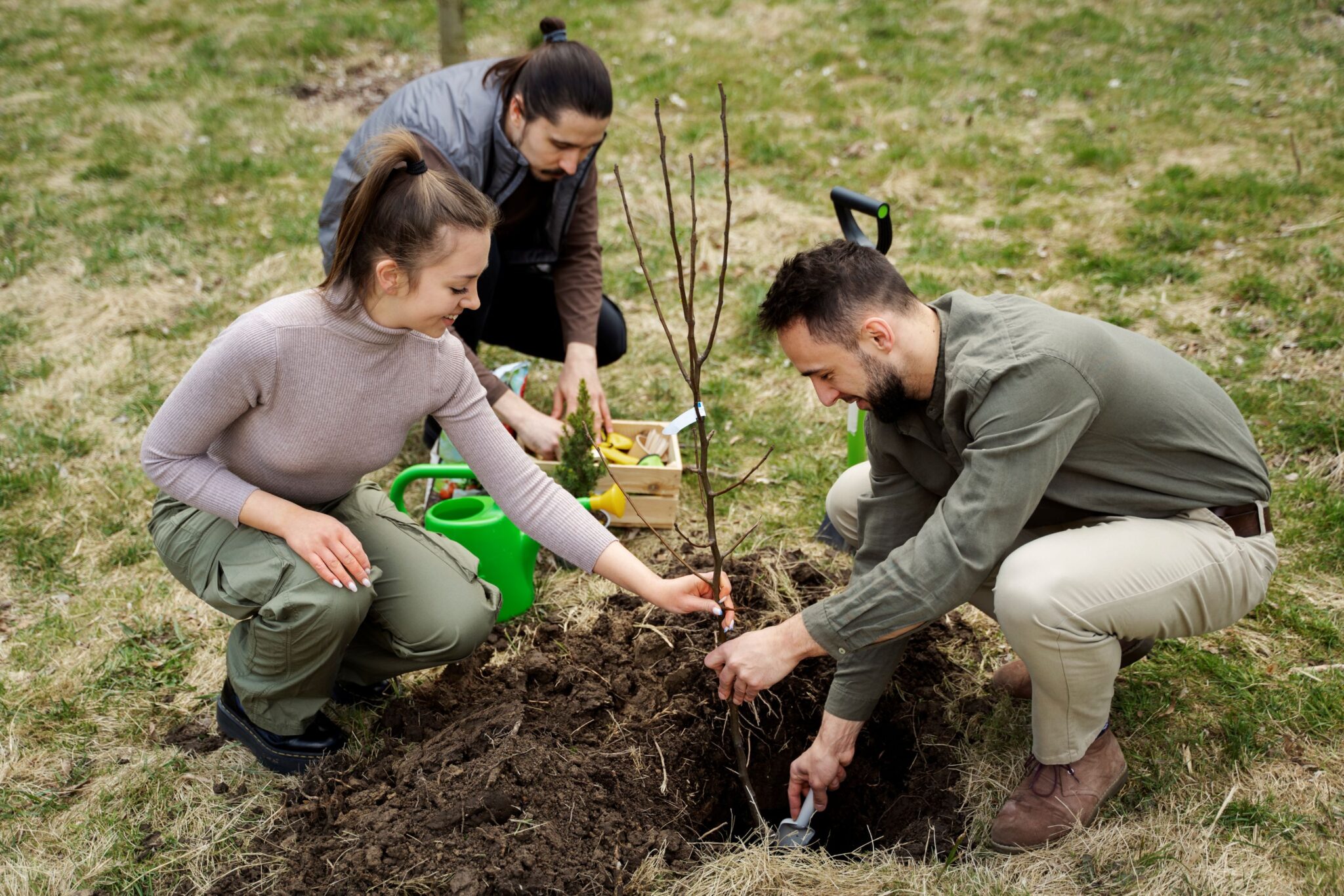 Does “online tree planting” make sense? Differences between donations ...